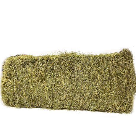 Hay