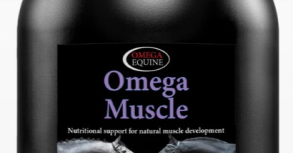 Omega Muscle 1.98 kg – Premium Equine Muscle & Strength Supplement ...