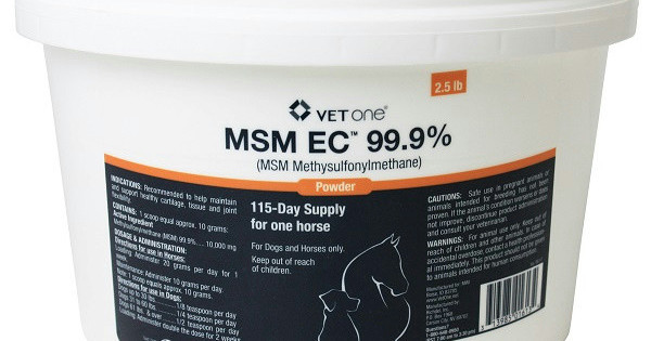 VetOne MSM EC 99.9% | Joint & Muscle Support for Horses